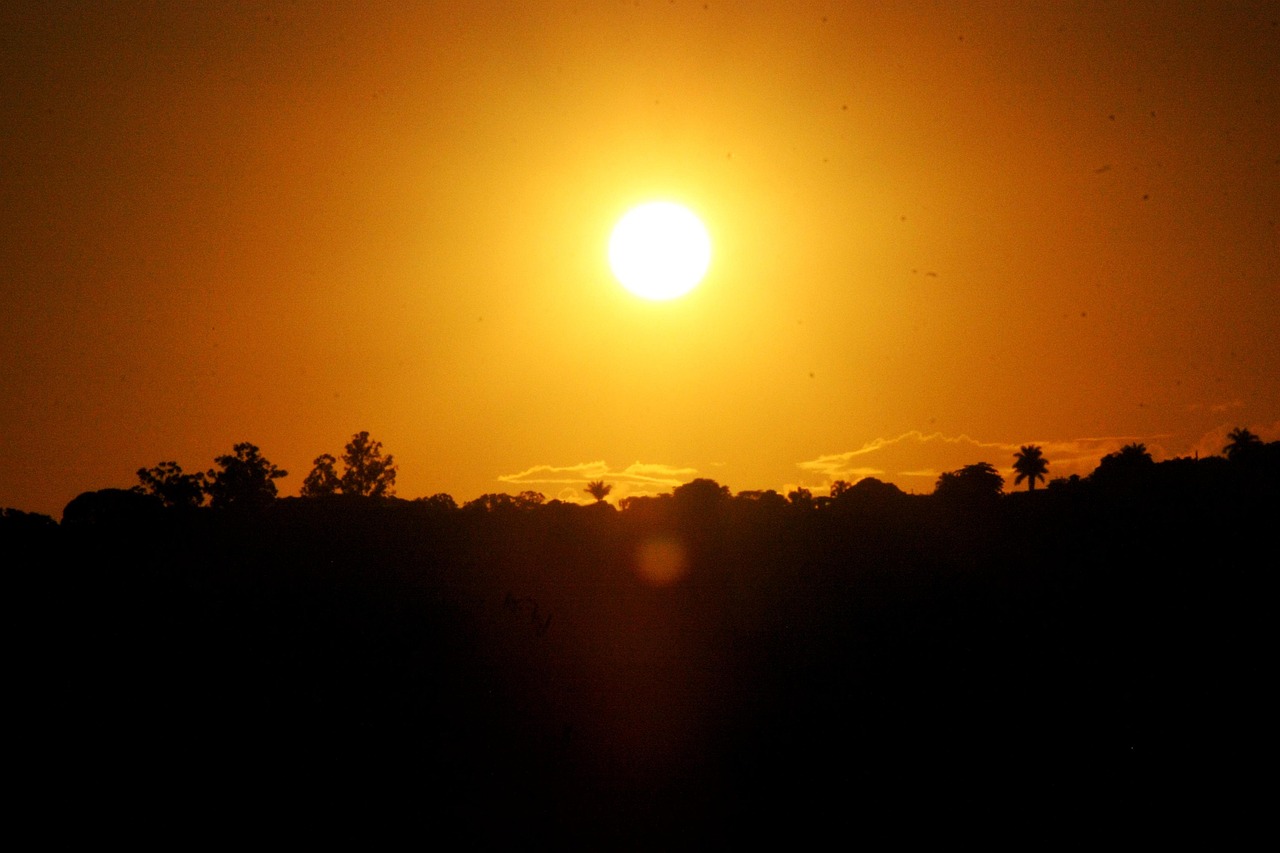 Sun Nature Forest - Free photo on Pixabay - Pixabay