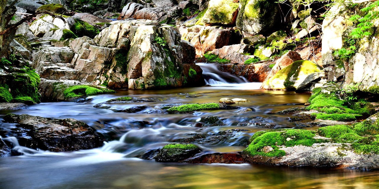 Valley Lembah Lumut Bab Tayangan - Foto gratis di Pixabay