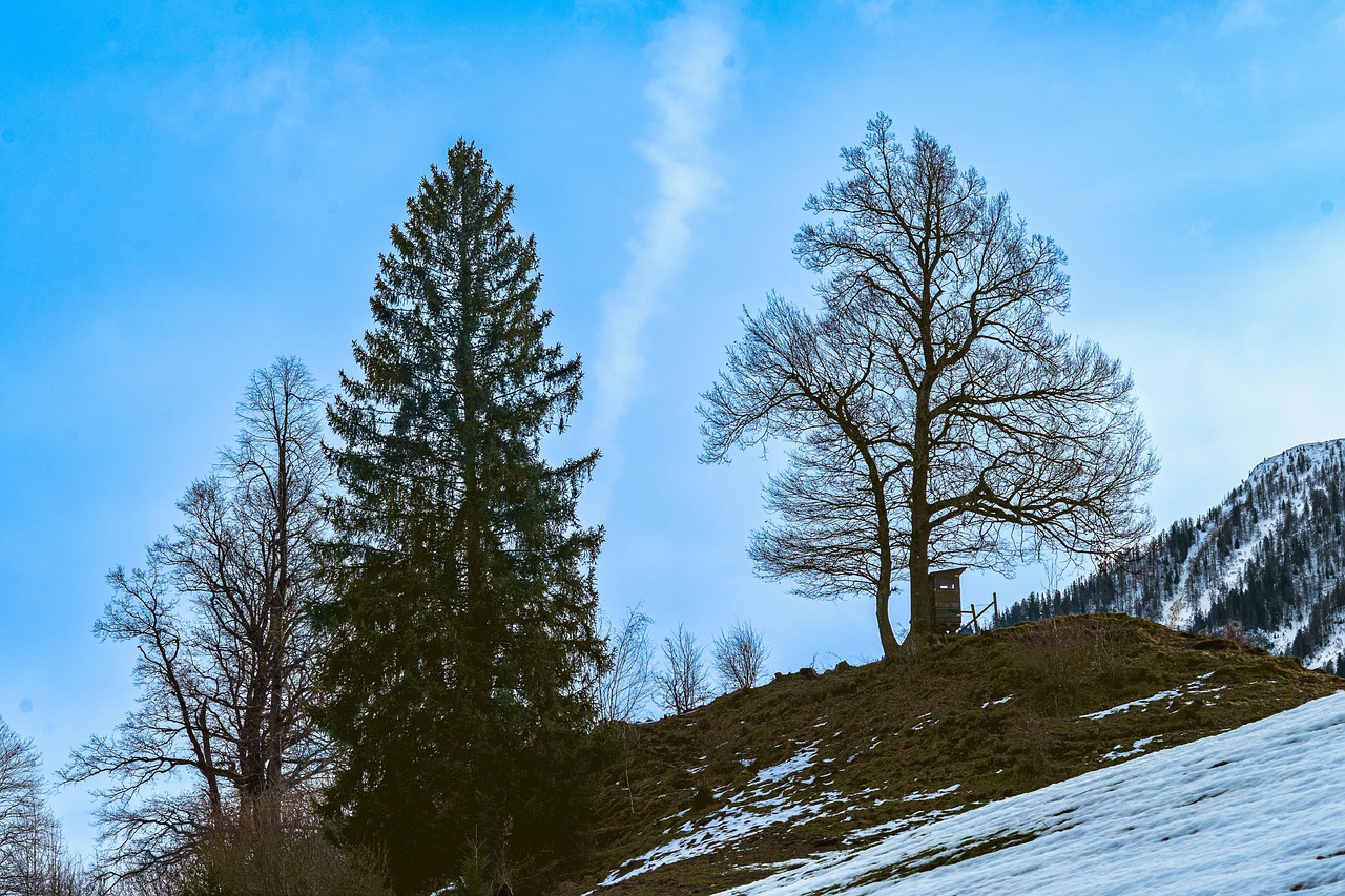 Goldegg Austria Nature - Free photo on Pixabay - Pixabay