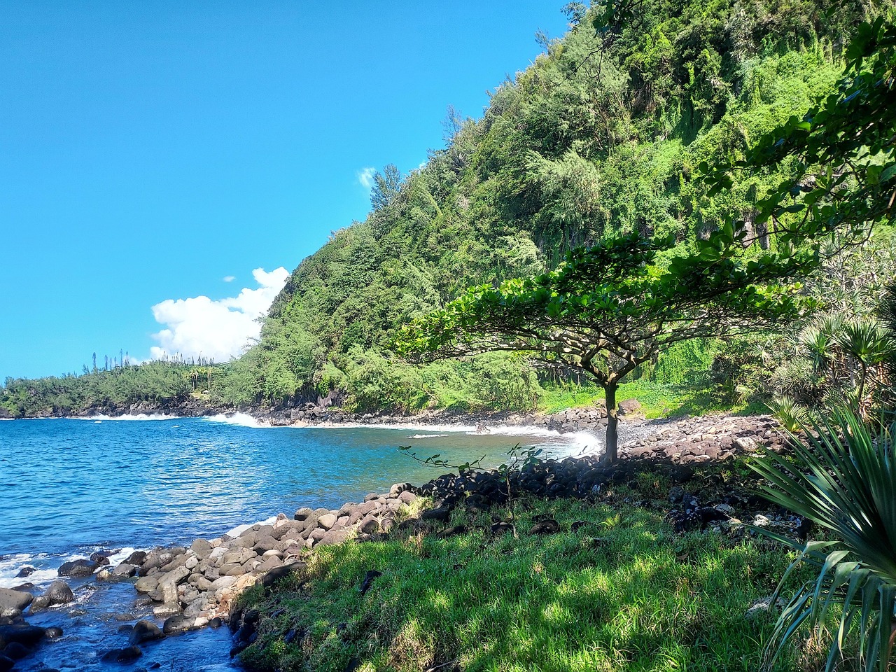 La Reunion Zjazd - Darmowe zdjęcie na Pixabay