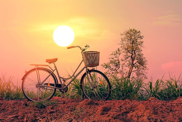 Autumn Beautiful Bicycle - Free photo on Pixabay - Pixabay