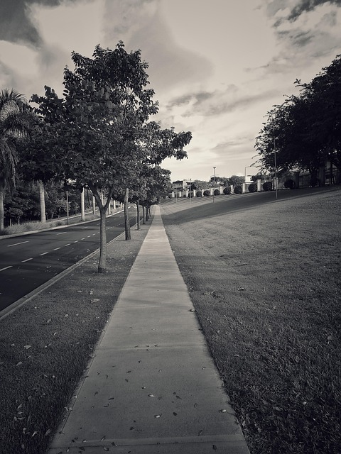 Road Path Nature - Free photo on Pixabay - Pixabay