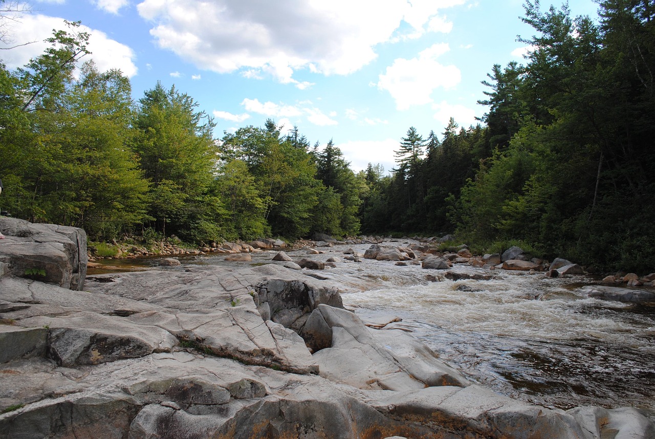 Download Landscape, Water, Rocks. Royalty-Free Stock Illustration Image ...