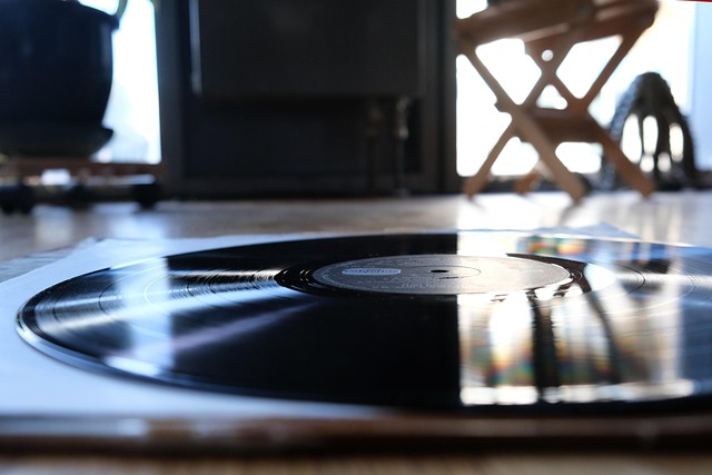 Disque Vinyle La Musique - Photo gratuite sur Pixabay