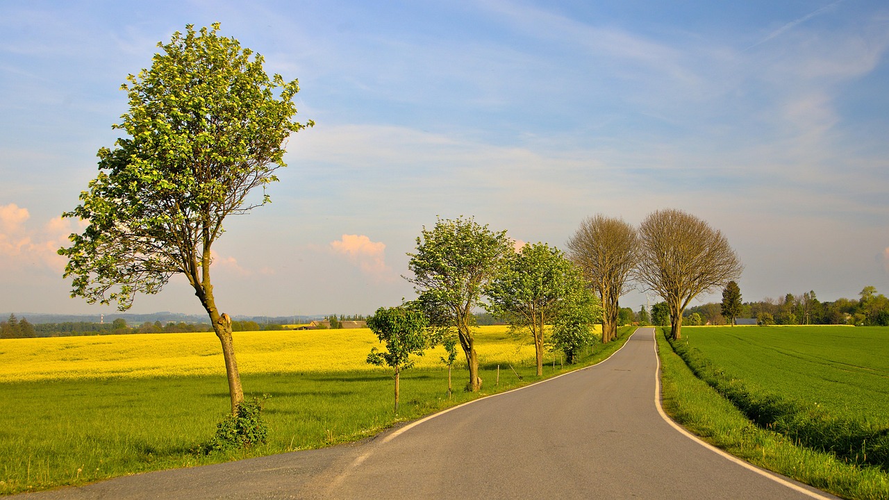 Nature Landscape Road - Free photo on Pixabay - Pixabay