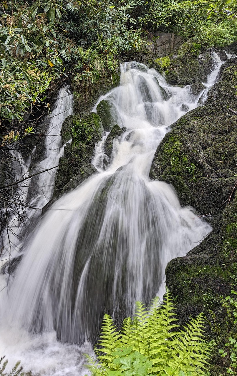 Water Waterfall Spring - Free photo on Pixabay - Pixabay