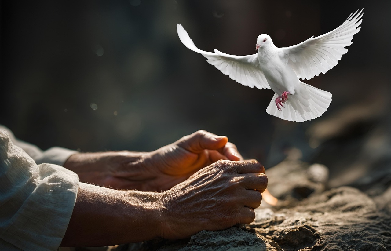 Beautiful Dove Images: Free Stock Photos of Real Flying Birds & Love ...