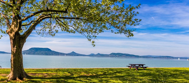 Lac Balaton Printemps Nature Vos - Photo gratuite sur Pixabay - Pixabay