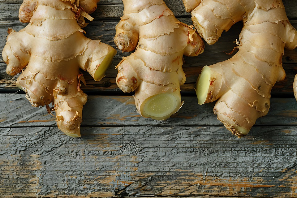 Download Ginger, Root, Spice. Royalty-Free Stock Illustration Image ...