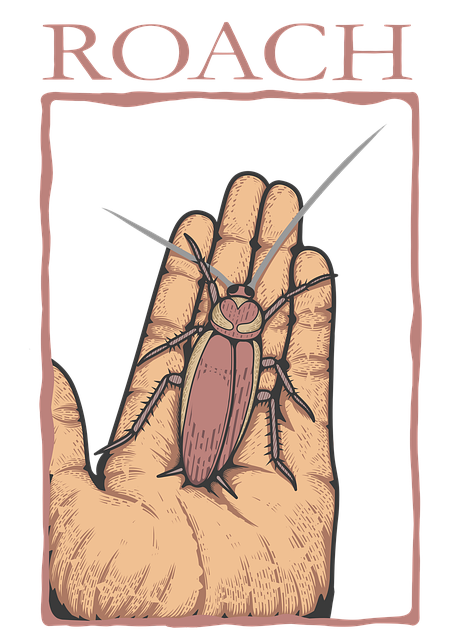 20,000+ Free Cockroach Cartoon & Cockroach Images - Pixabay