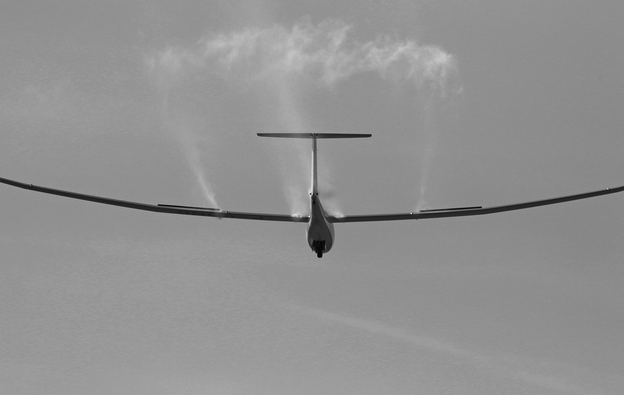 Piloto De Planeador Delta Avión - Foto gratis en Pixabay - Pixabay