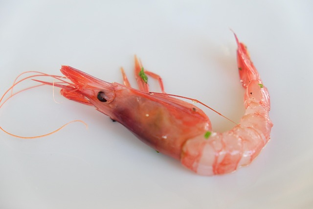 Camarón Mariscos - Foto gratis en Pixabay - Pixabay