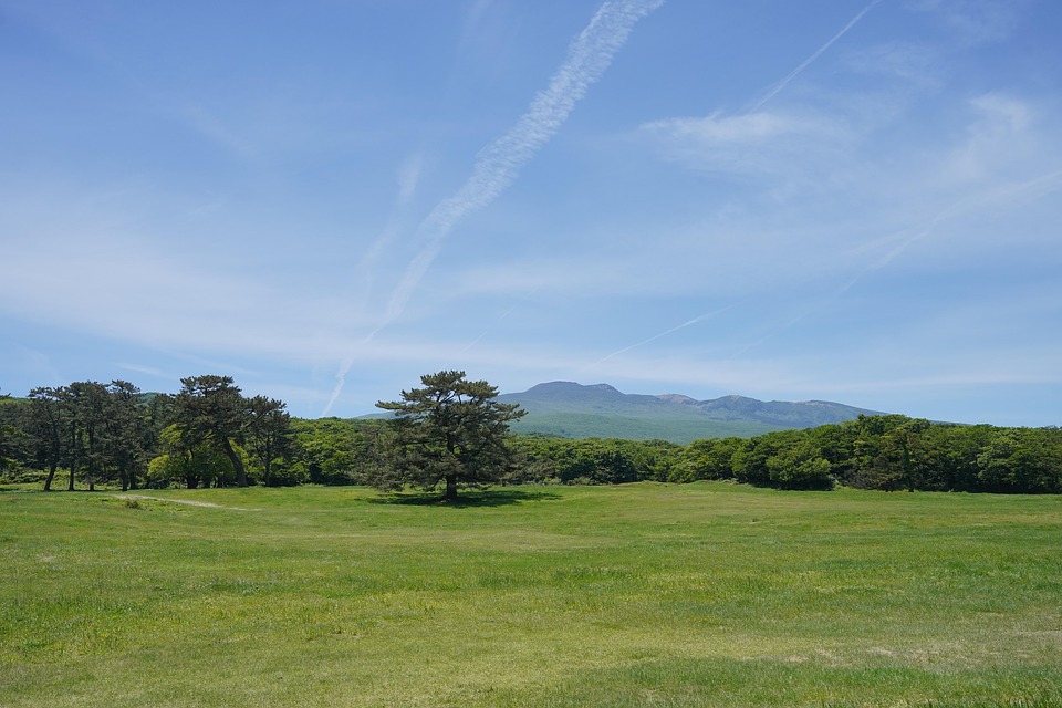 Jeju Island City Horse Ranch - Free photo on Pixabay - Pixabay