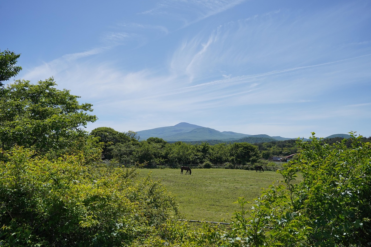 Ilha Jeju Mt Hanlla Palavras - Foto gratuita no Pixabay