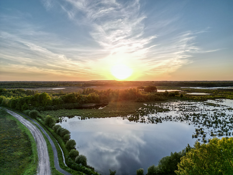 Netherlands Drenthe Nature - Free photo on Pixabay - Pixabay