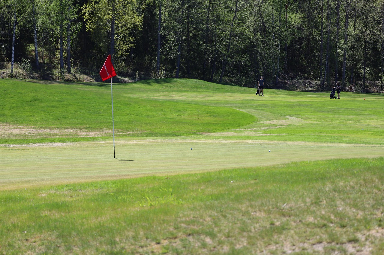 Golf Pelota De Deporte Campo - Foto gratis en Pixabay - Pixabay