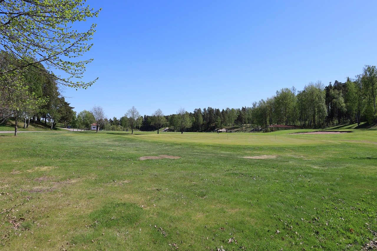 Golf Ball Sport - Free photo on Pixabay - Pixabay