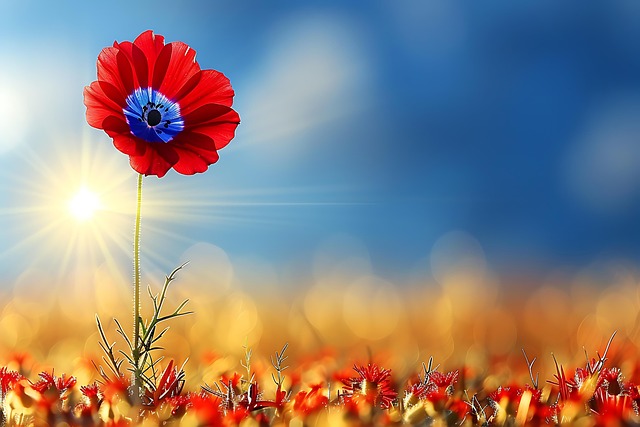 超过 10000 张关于“Poppy Playtime Juego”和“花”的免费图片 - Pixabay