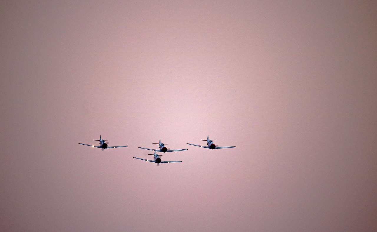 Puma Energy Flying Lions Team - Photo gratuite sur Pixabay - Pixabay