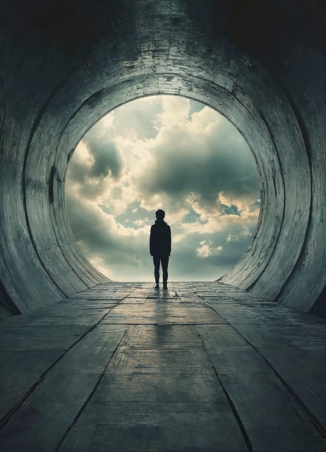 10,000+ Free End Of Life & Life Images - Pixabay