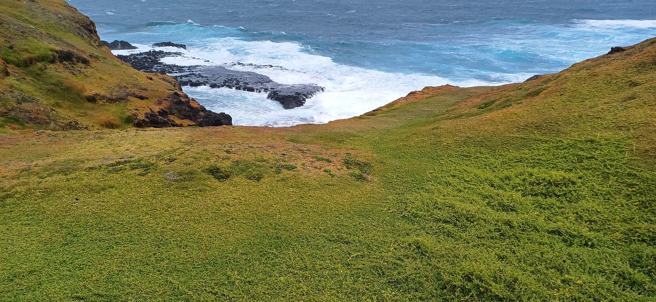 Australia Grass Hill Nature - Free photo on Pixabay - Pixabay
