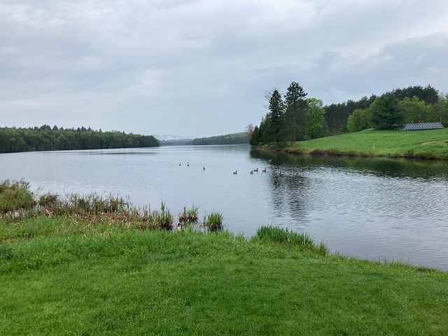Pond Vermont Ducks - Free photo on Pixabay