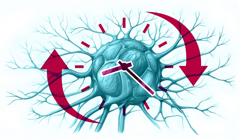 Download Ai Generated, Brain, Neurons. Royalty-Free Stock Illustration ...
