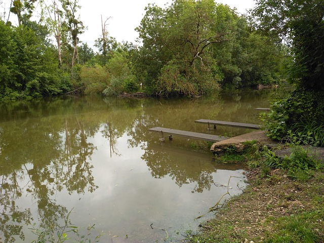 Rive Nature L'Eau - Photo gratuite sur Pixabay - Pixabay