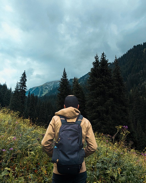 Travel Nature Landscape - Free photo on Pixabay - Pixabay