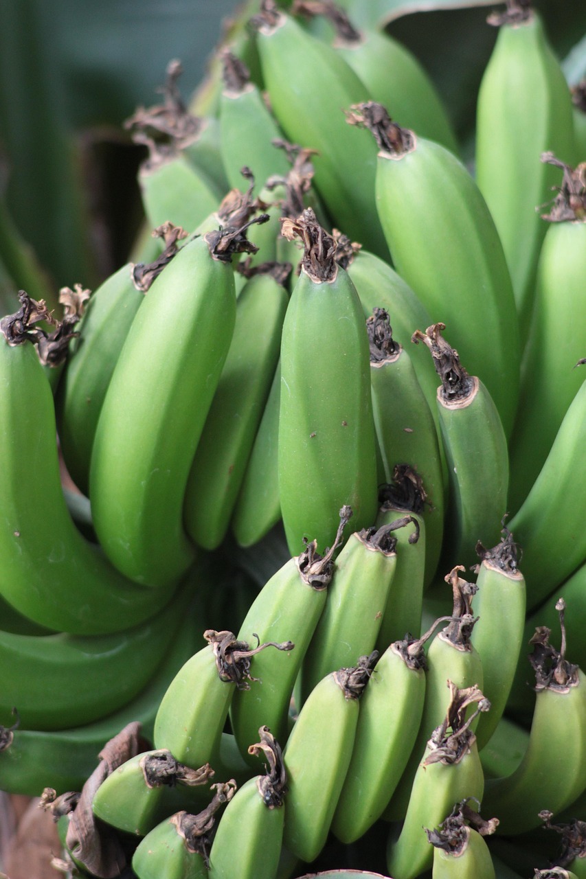 Bananas Fruta Amarelo - Foto gratuita no Pixabay