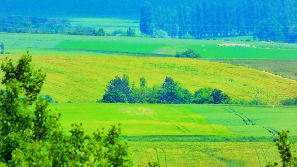 Champs Nature Paysage - Photo gratuite sur Pixabay