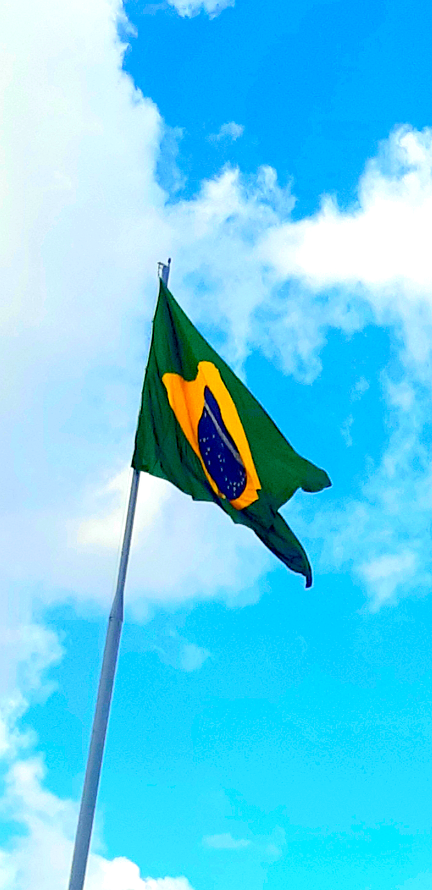 Brazil Bendera Brasil Hari - Foto gratis di Pixabay