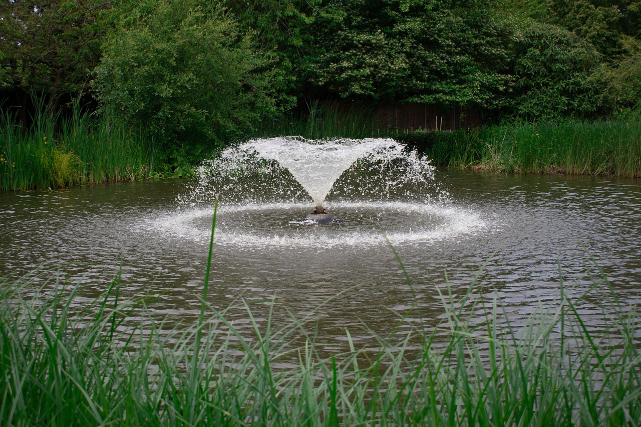 Característica Da Água Agua Fonte - Foto gratuita no Pixabay - Pixabay