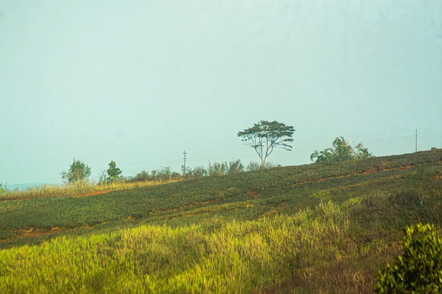 Countryside Farm Field - Free photo on Pixabay - Pixabay