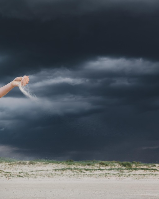 Goodbye Surrender Nature - Free photo on Pixabay - Pixabay