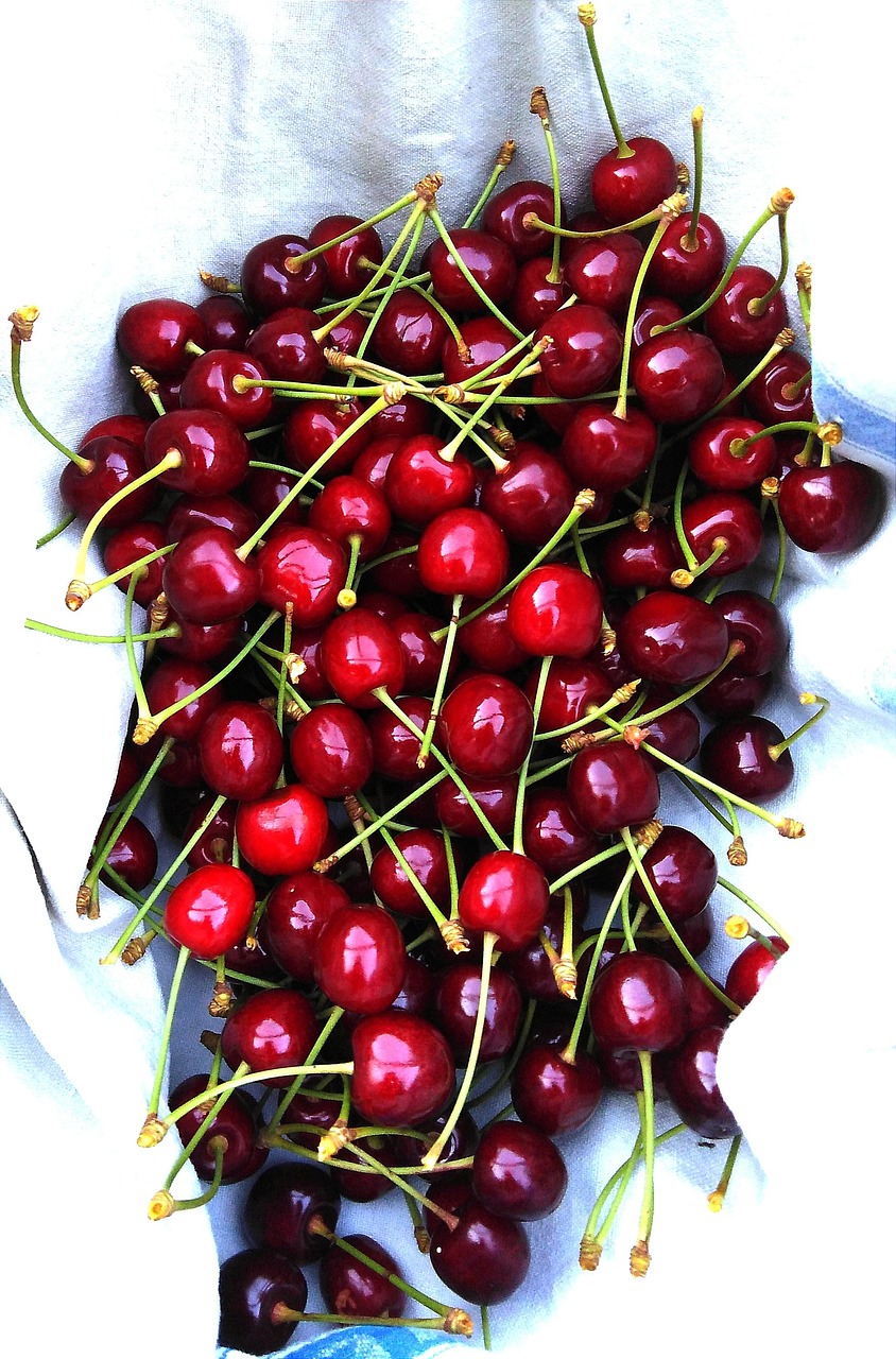 Cerezas Fruta Orgánico - Foto gratis en Pixabay - Pixabay