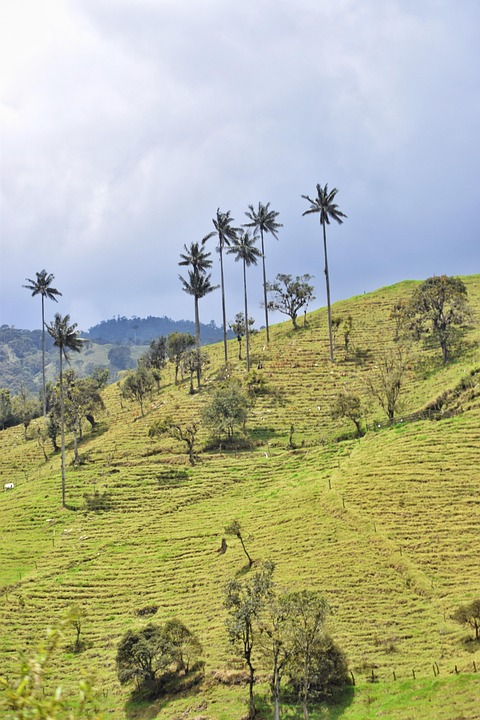 Bogota Vallée Nature Des - Photo gratuite sur Pixabay