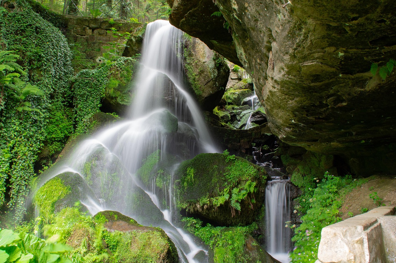 Bach Tree Rock - Free photo on Pixabay