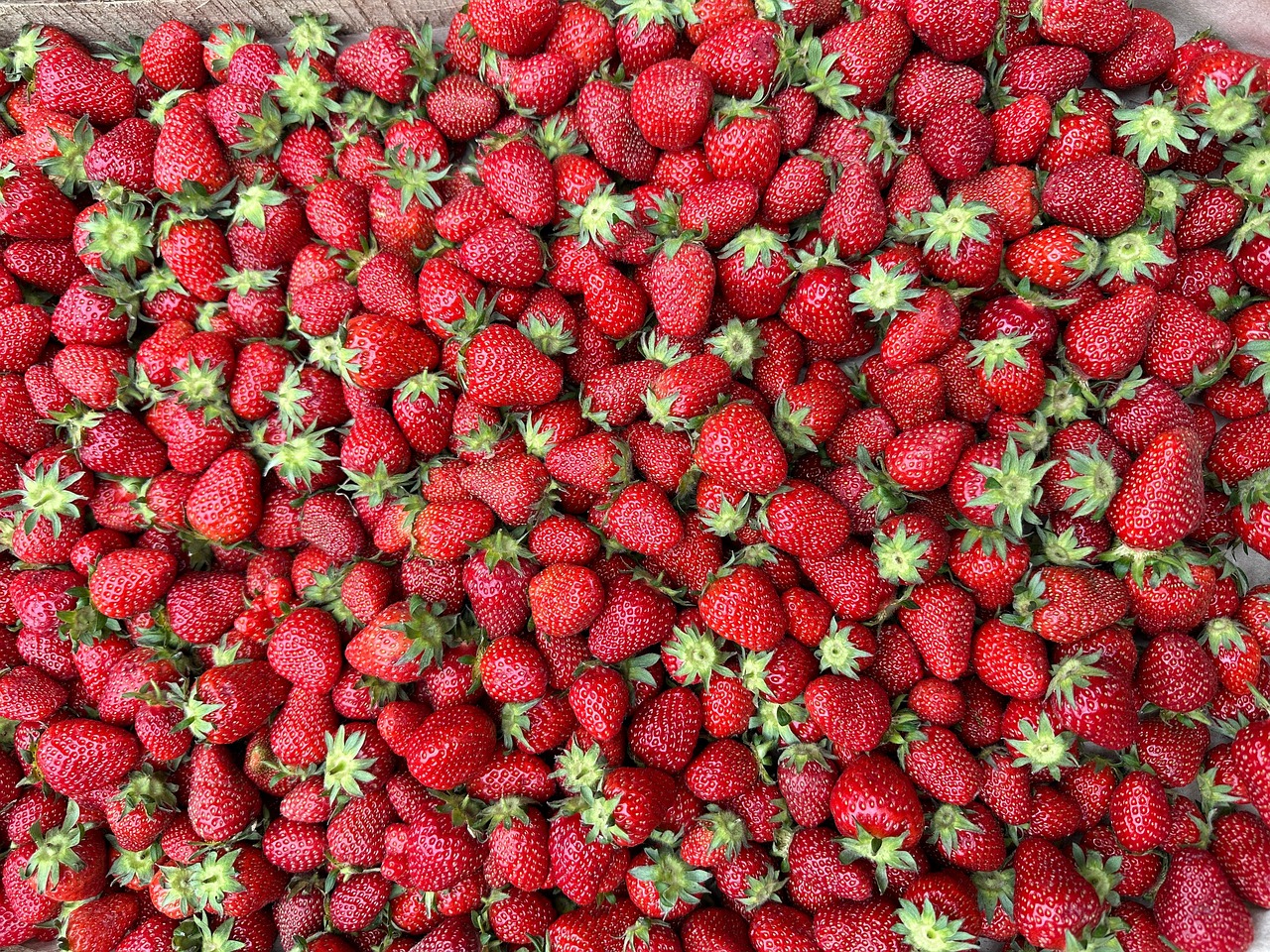 Maduro Fruta Frutas - Foto gratis en Pixabay