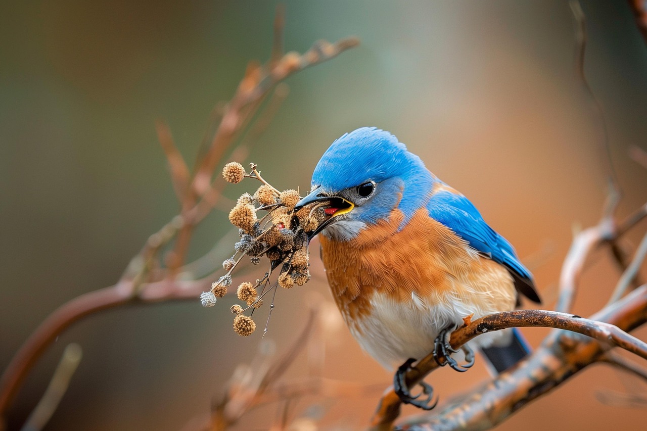 Download Ai Generated, Bluebird, Bird. Royalty-Free Stock Illustration ...