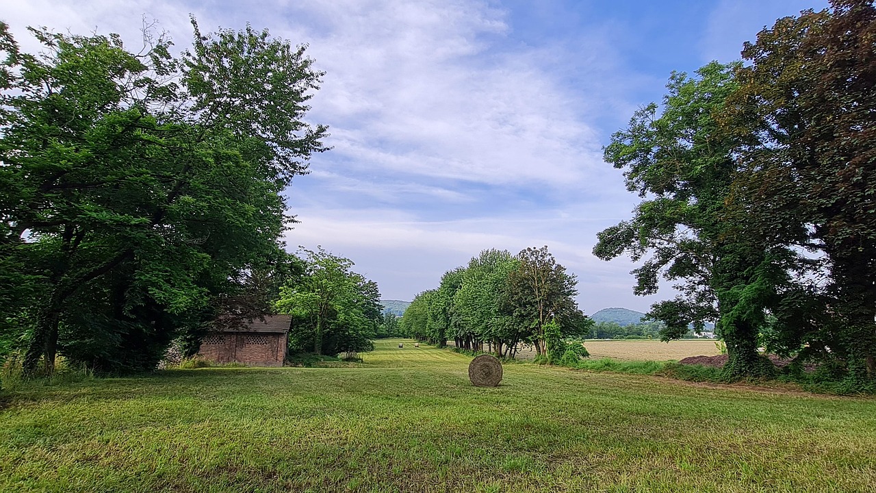 Hay Fields Agriculture - Free photo on Pixabay