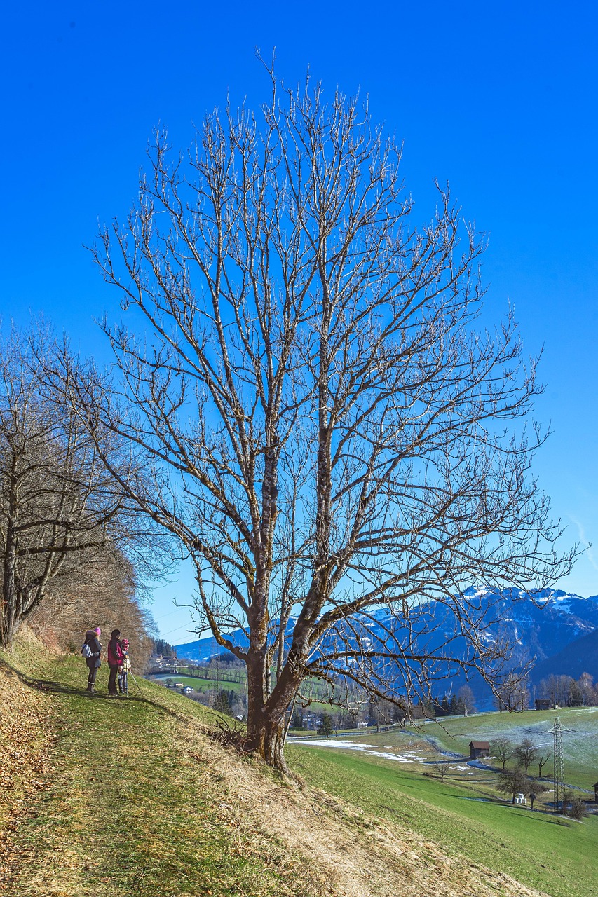 Goldegg Am See Austria - Free photo on Pixabay - Pixabay