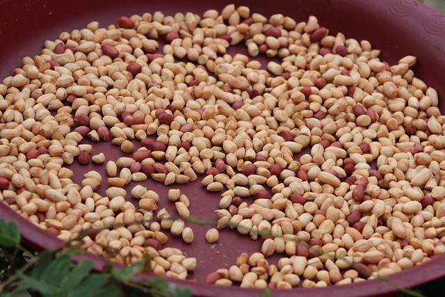 Sierra Leone Groundnut Groundnuts - Free photo on Pixabay