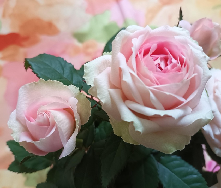 Pink Bunga Karangan - Foto gratis di Pixabay - Pixabay