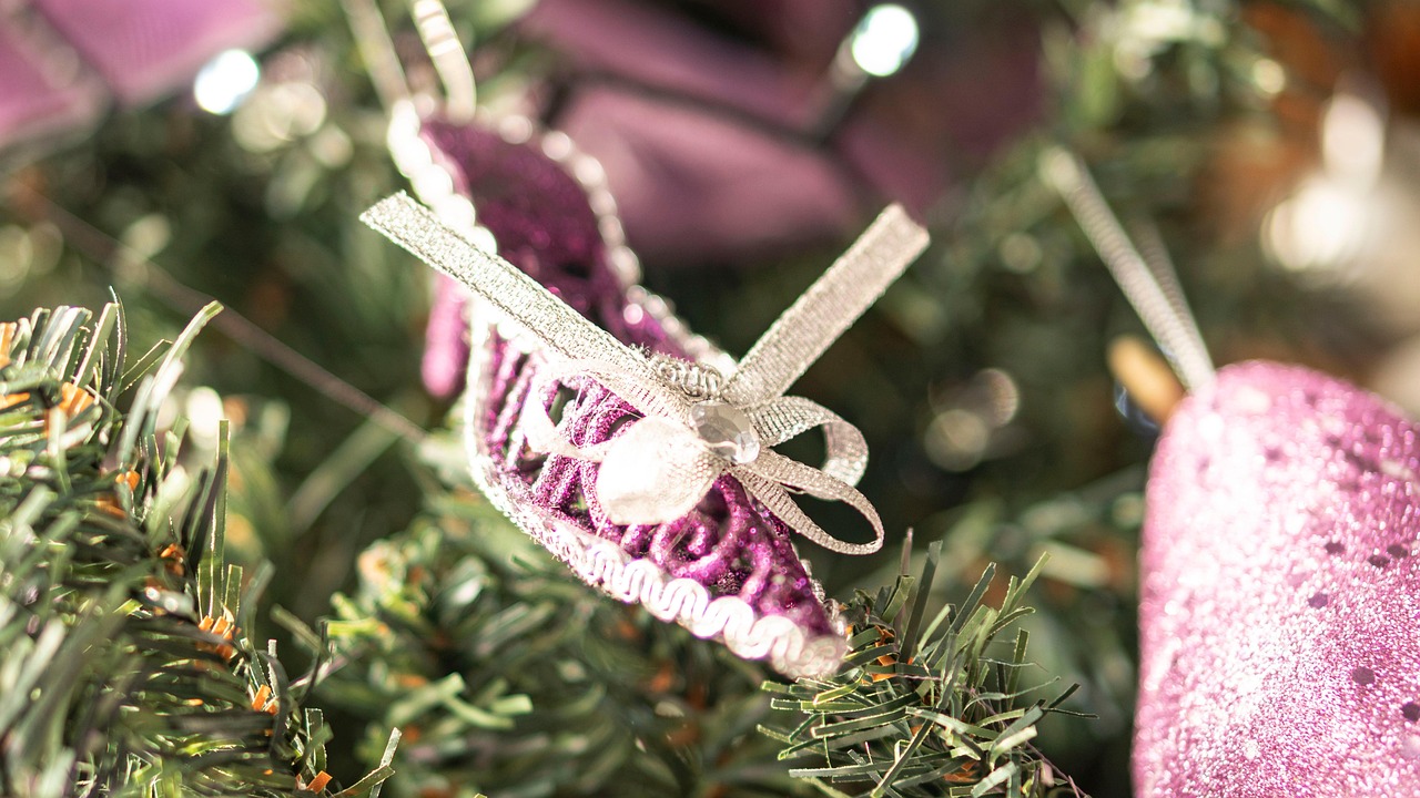 Christmas Shoe Decoration Fir - Free photo on Pixabay - Pixabay
