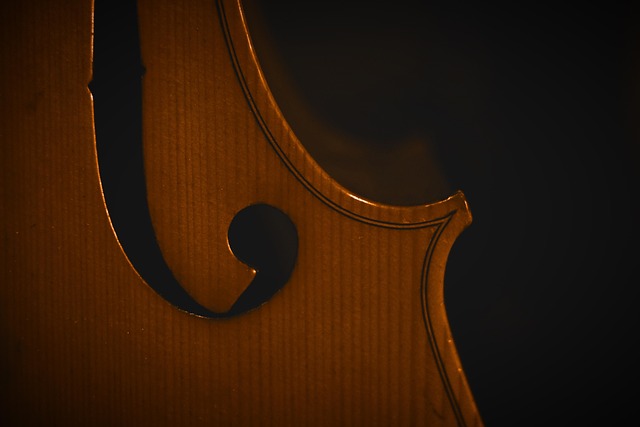 Chello Musician Instrument - Free photo on Pixabay