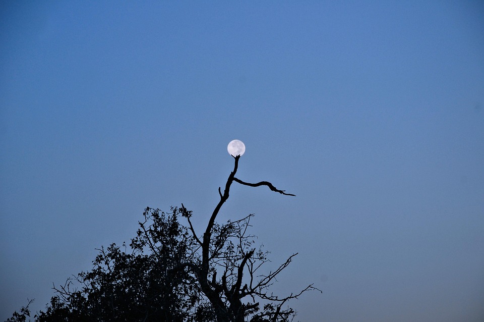 Moon Sky Landscape - Free photo on Pixabay - Pixabay
