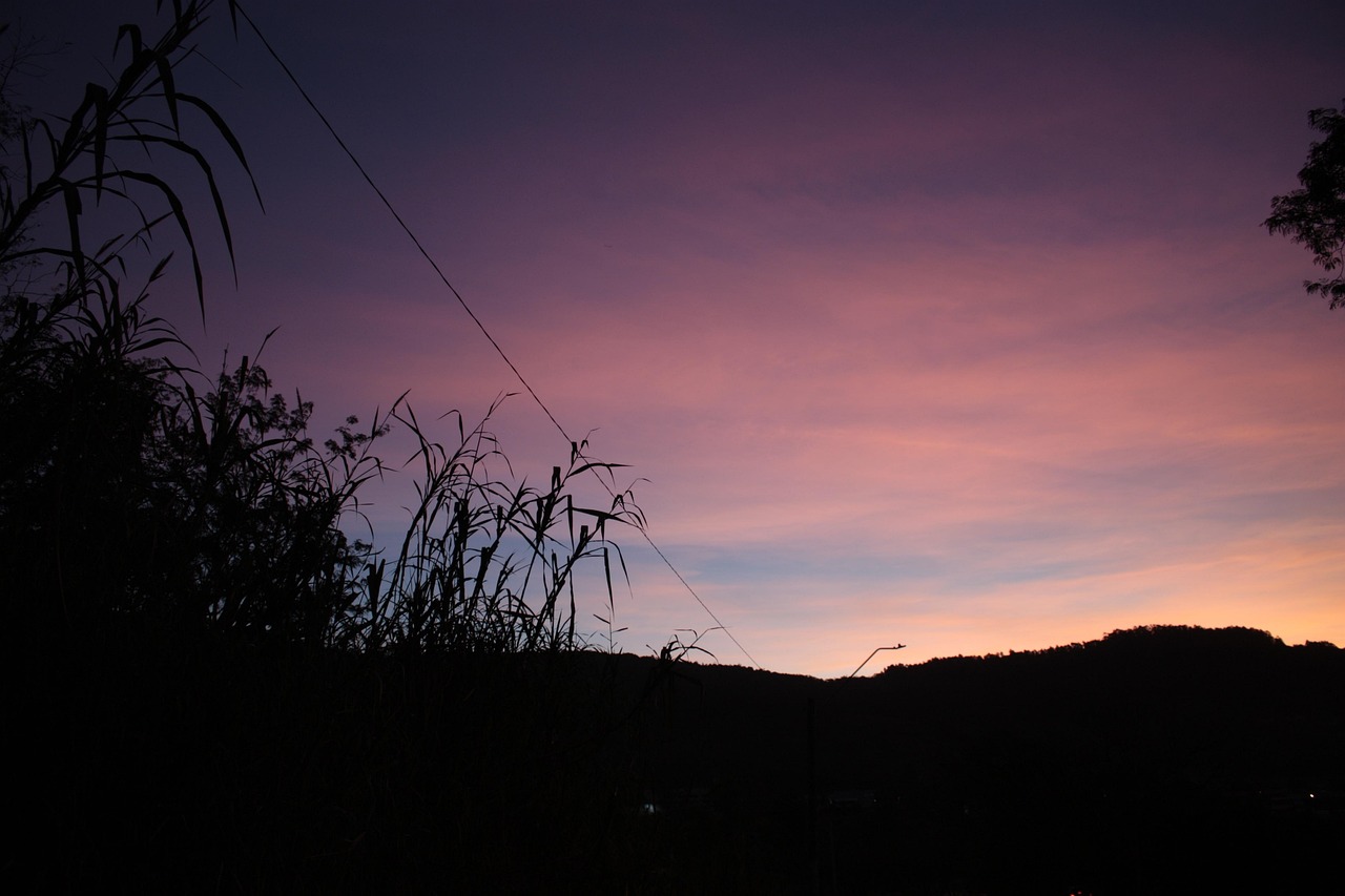 Por La Tarde Naturaleza Panorama - Foto gratis en Pixabay - Pixabay