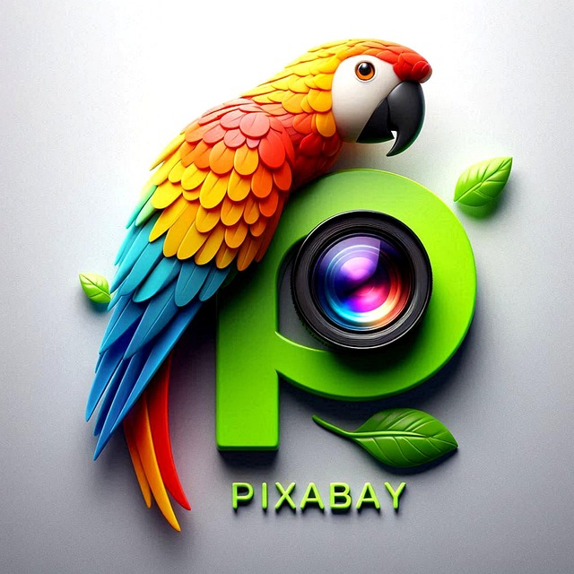 Pixabay Logo 4K - Kostenloses Bild auf Pixabay