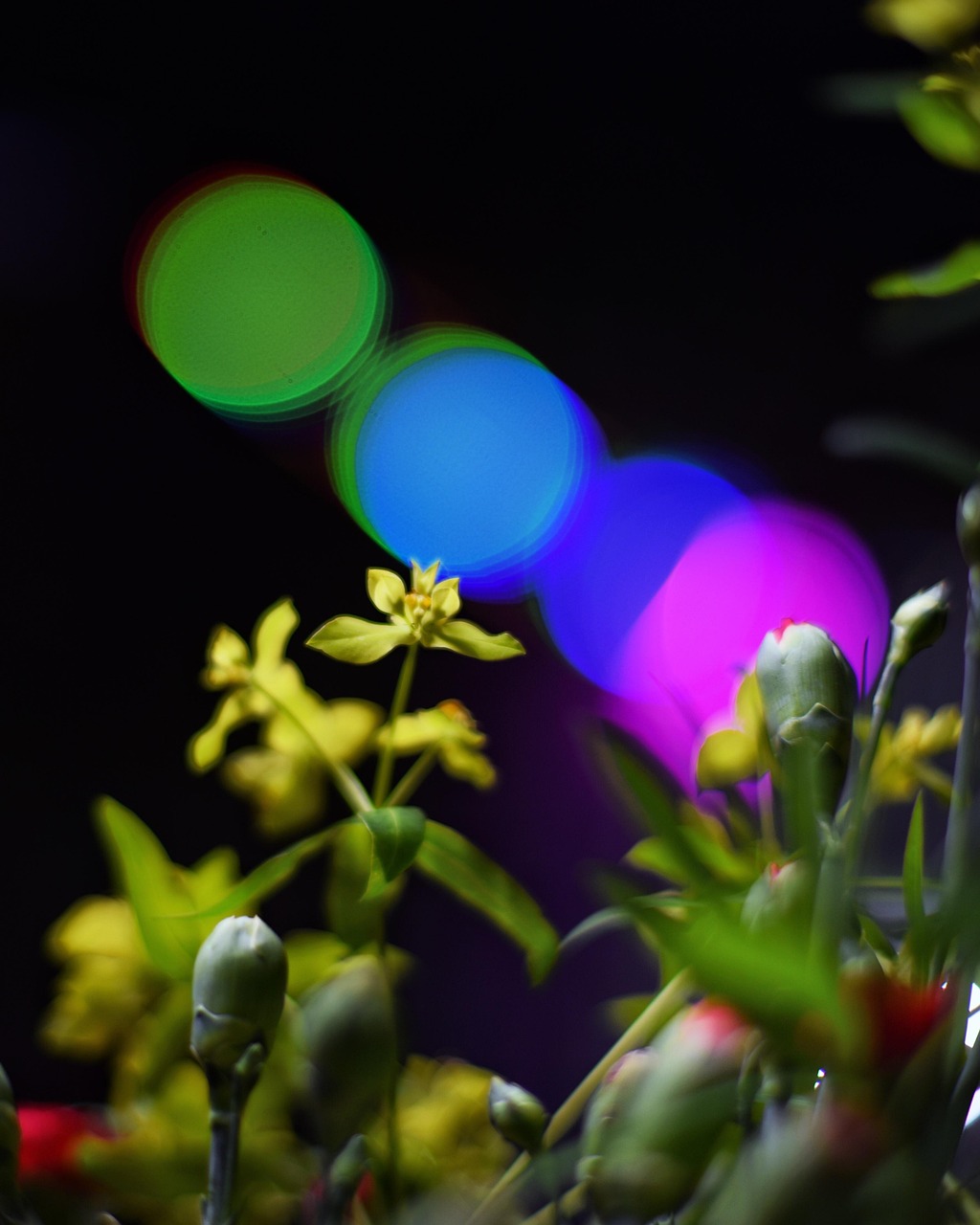 Color Led Light - Free photo on Pixabay - Pixabay